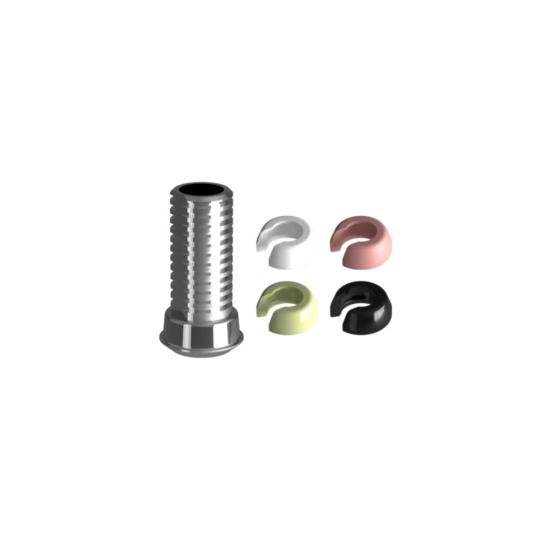 EASY FIX - KIT SEEGER + T-BASE